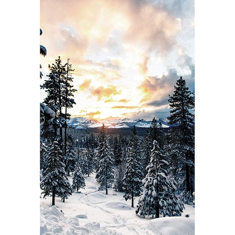 Hoffman Call of the Wild Panel X5570 112 Dawn – Batiks Etcetera & Sew What Fabrics