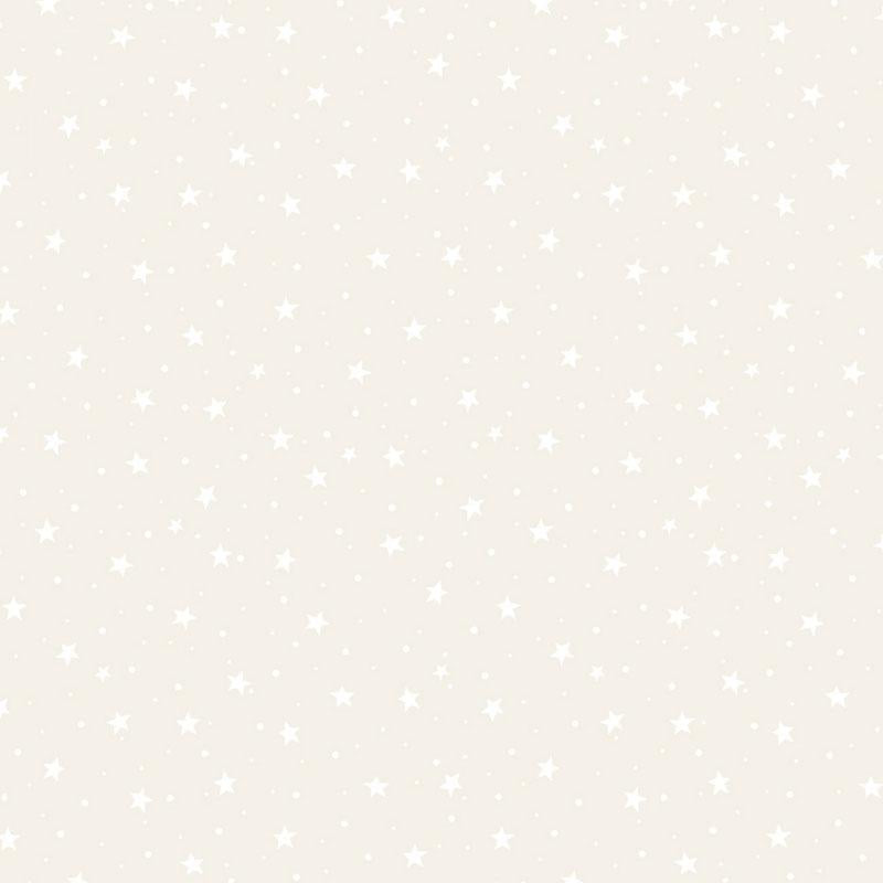 P B Textiles Ramblings Ra13 4884 01 Batiks Etcetera Sew What Fabrics